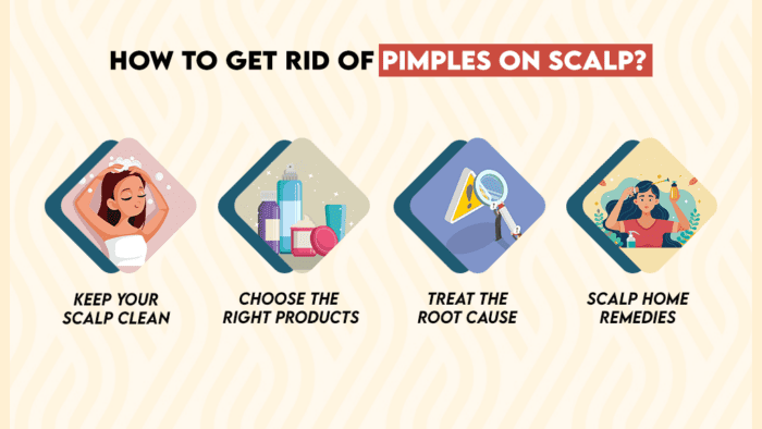 Pimples on Scalp: Is it Scalp Acne or Something Else? - Happy Cappy